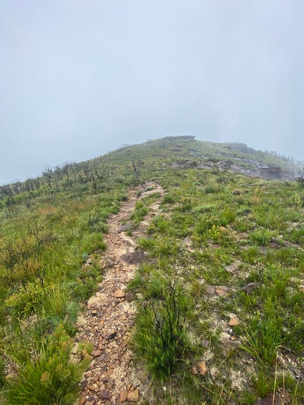 Mount Banks Summit Walk